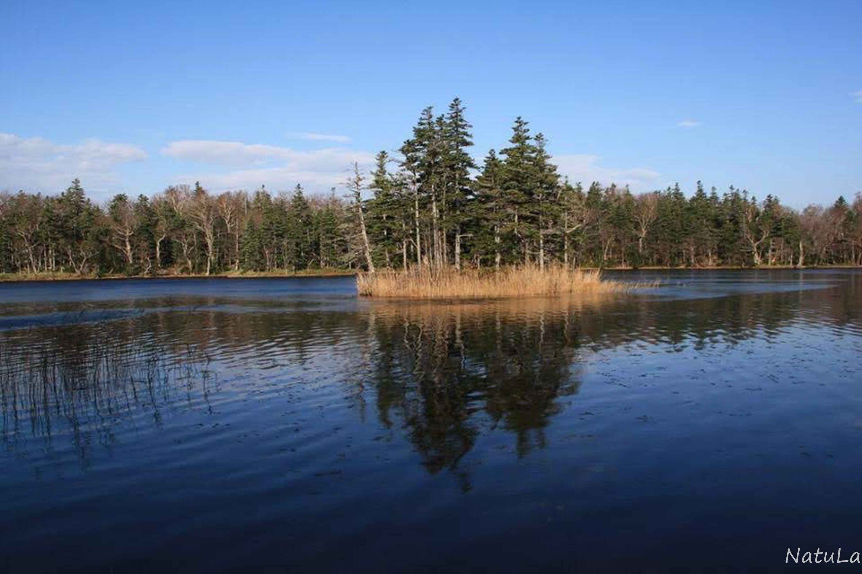 NatuLaのできること – NatuLa