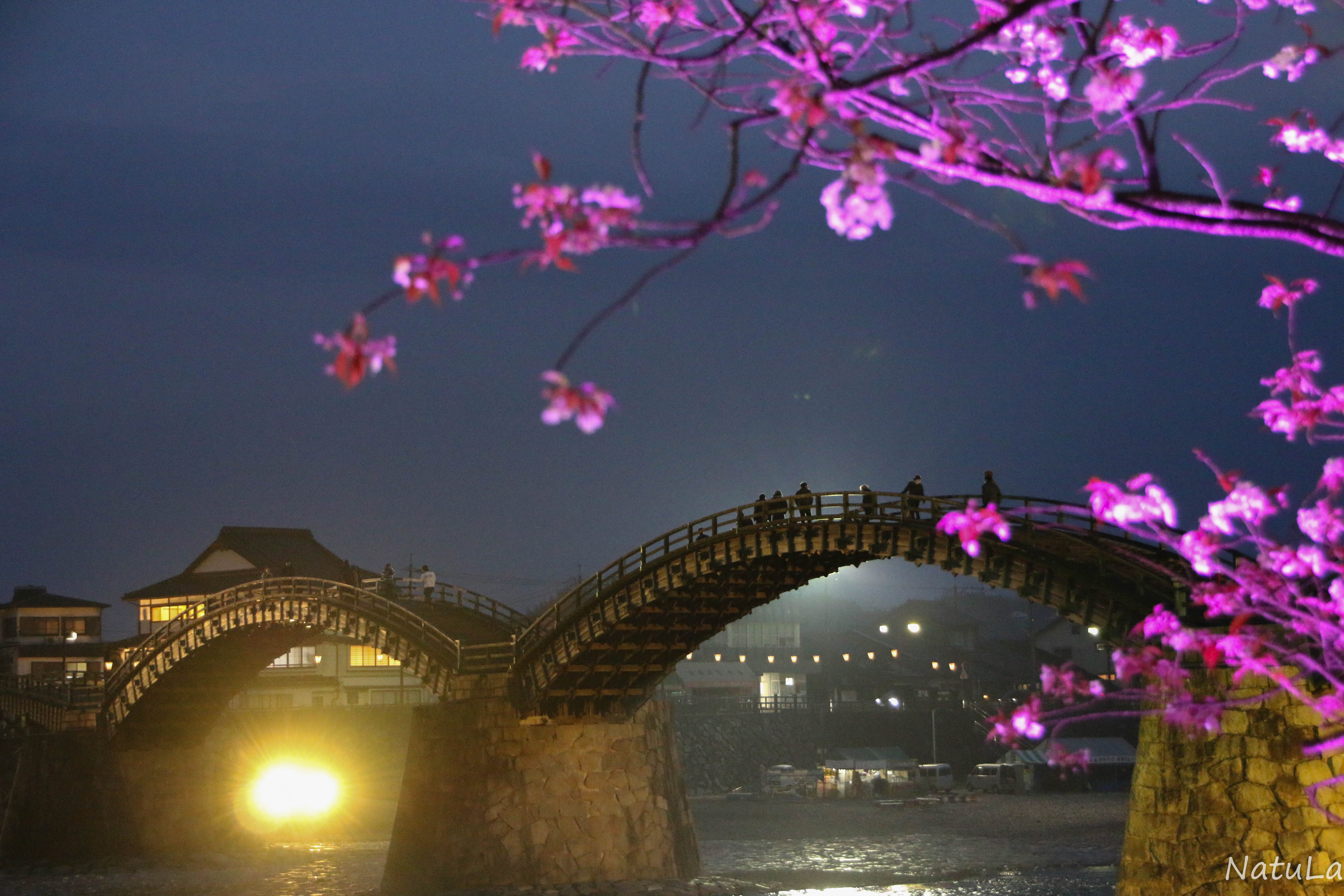 NatuLaのできること – NatuLa